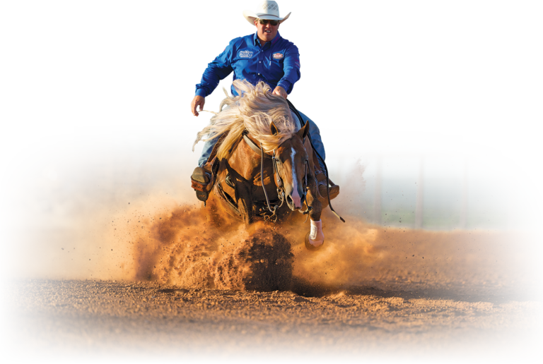 Cactus Reining Classic - Reining Event held in Scottsdale, Arizona